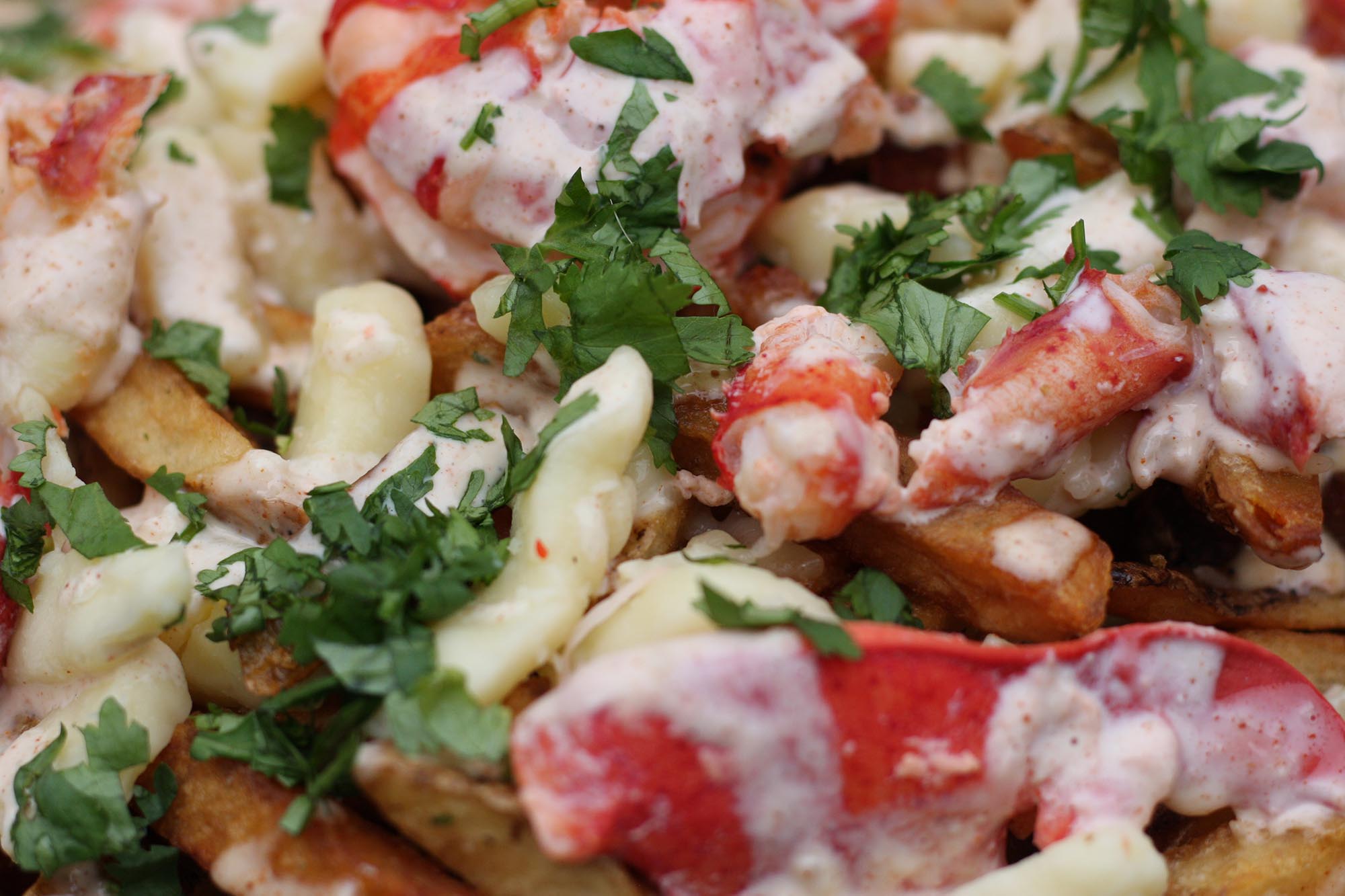 Lobster Poutine Fan Club | AMAZING!